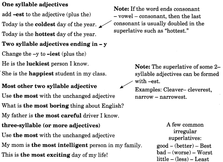 Exercise On Adjectives For Class 7 CBSE With Answers MCQ Questions