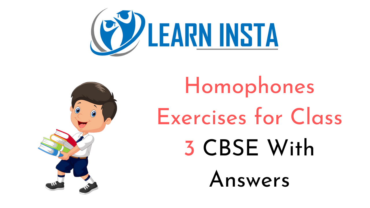 Homophones Worksheet Exercises For Class 3 With Answers CBSE MCQ 