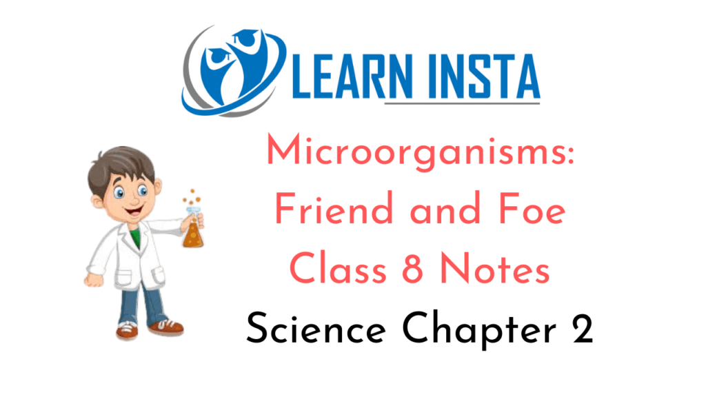 Microorganisms: Friend and Foe Class 8 Notes Science Chapter 2 – MCQ ...