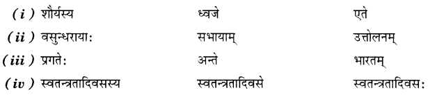 NCERT Solutions for Class 7 Sanskrit Chapter 8 त्रिवर्णः ध्वजः – MCQ ...
