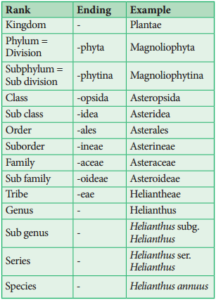 Taxonomic Hierarchy – MCQ Questions